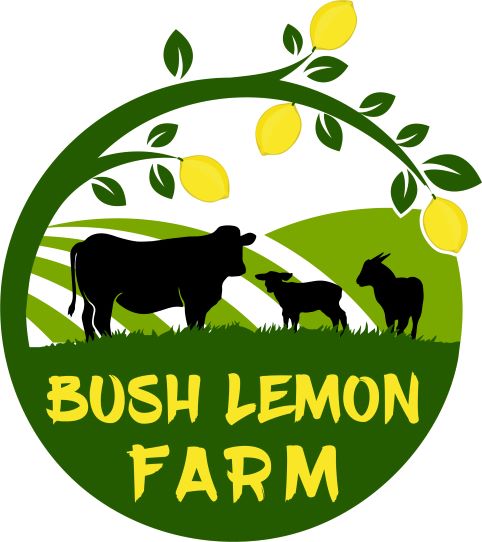 Home [bushlemonfarm.com.au]